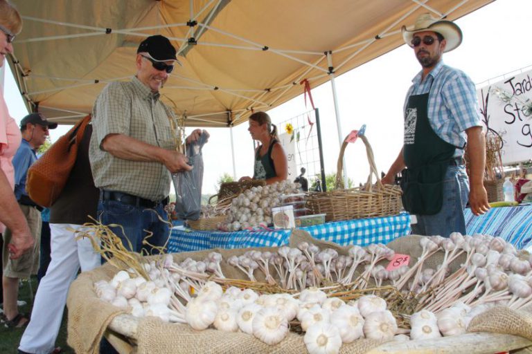 Eastern Ontario Garlic Festival Returns to Lamoureux Park | Cornwall ...