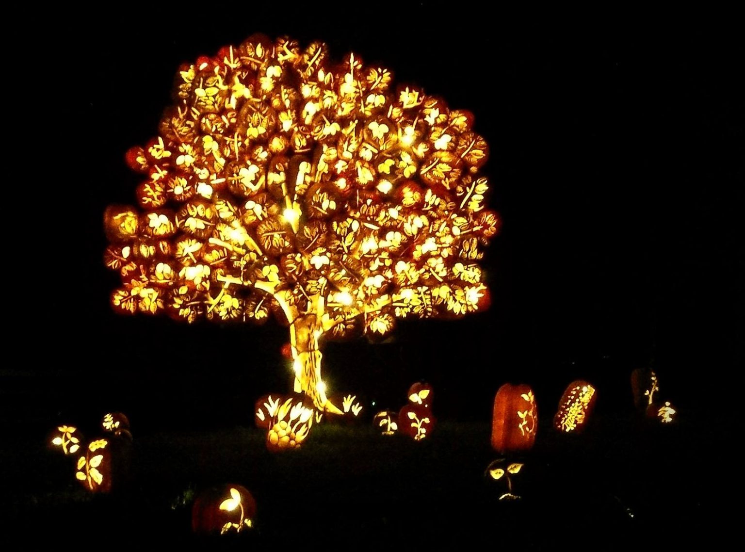 Pumpkinferno | Cornwall Tourism : Cornwall Tourism