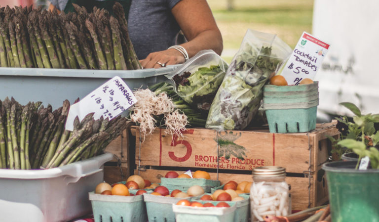 Visit the farm | Cornwall Tourism : Cornwall Tourism