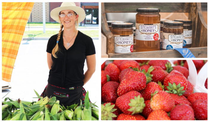 Visit the farm | Cornwall Tourism : Cornwall Tourism