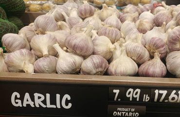 Eat, stay, visit and explore Cornwall, Ontario | Cornwall Tourism ...