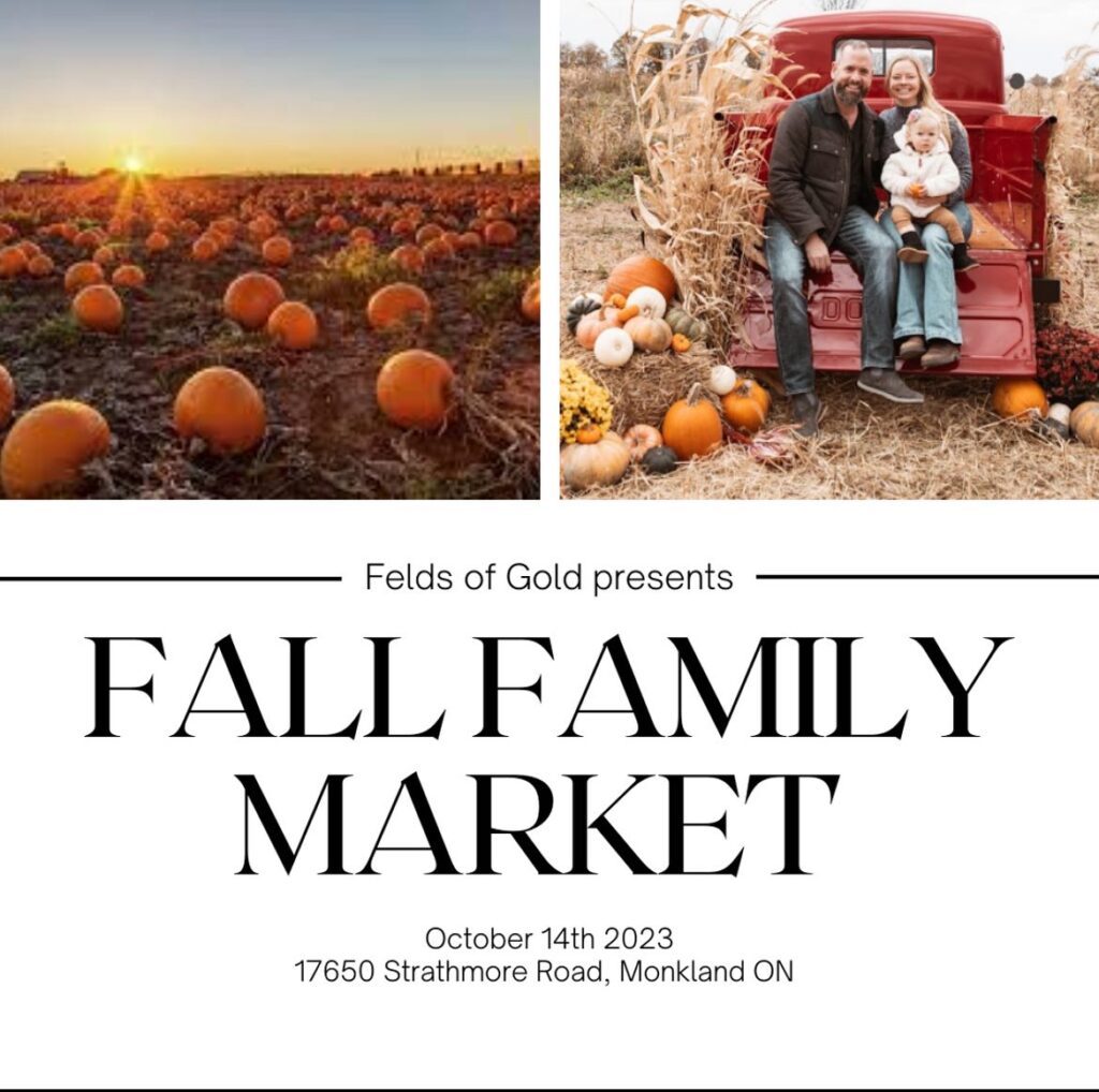 Fall Family Market | Cornwall Tourism : Cornwall Tourism